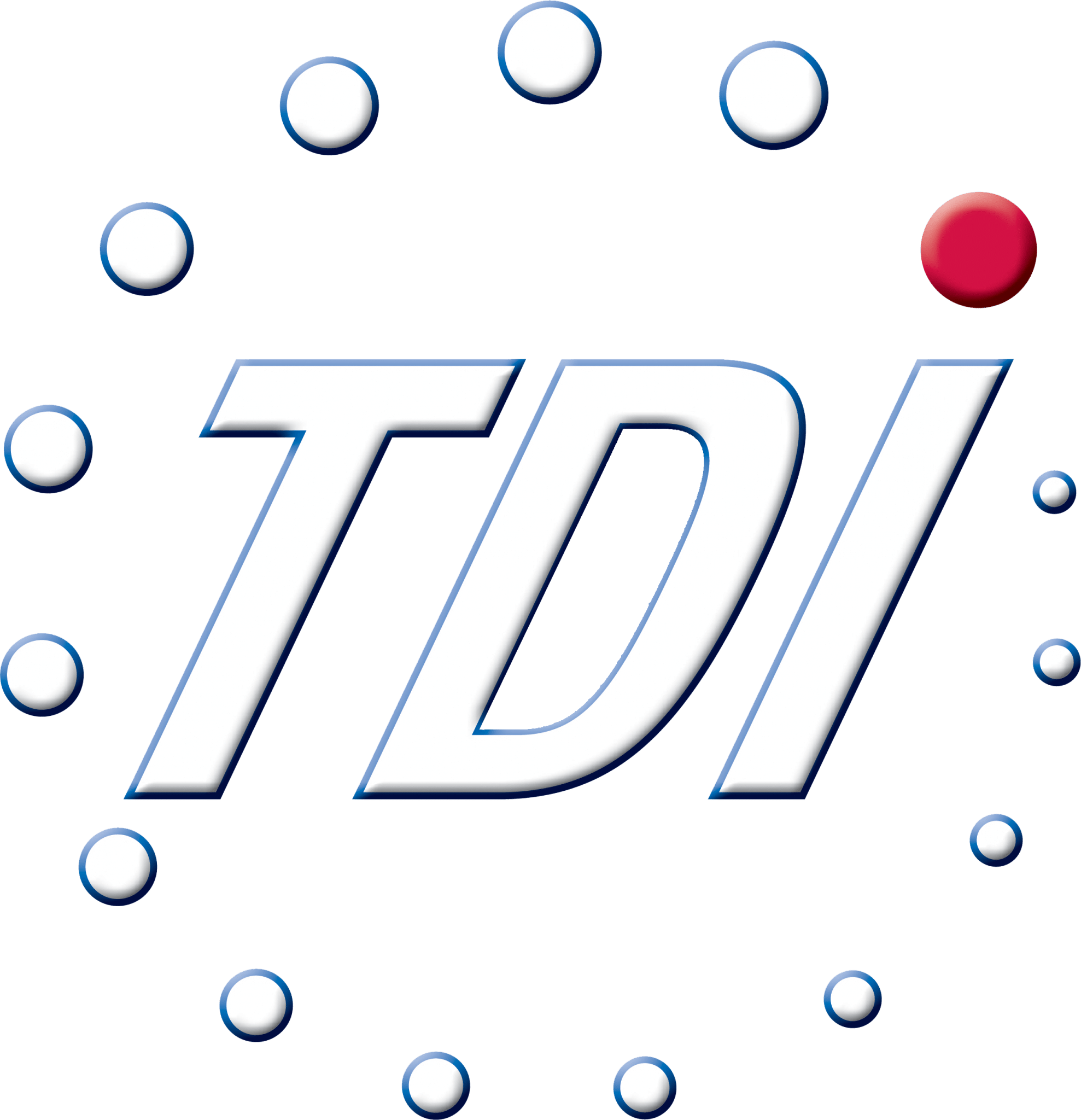 Shaping An Accessible World - TDI